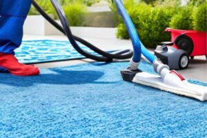 How To Clean Outdoor Rug With Mildew