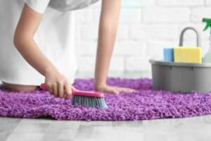 How To Clean Outdoor Rug With Mildew