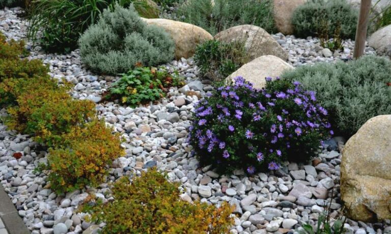 How To Clean River Rock Landscaping - Wakeful Home