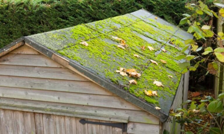 How To Waterproof A Garden Shed - Wakeful Home
